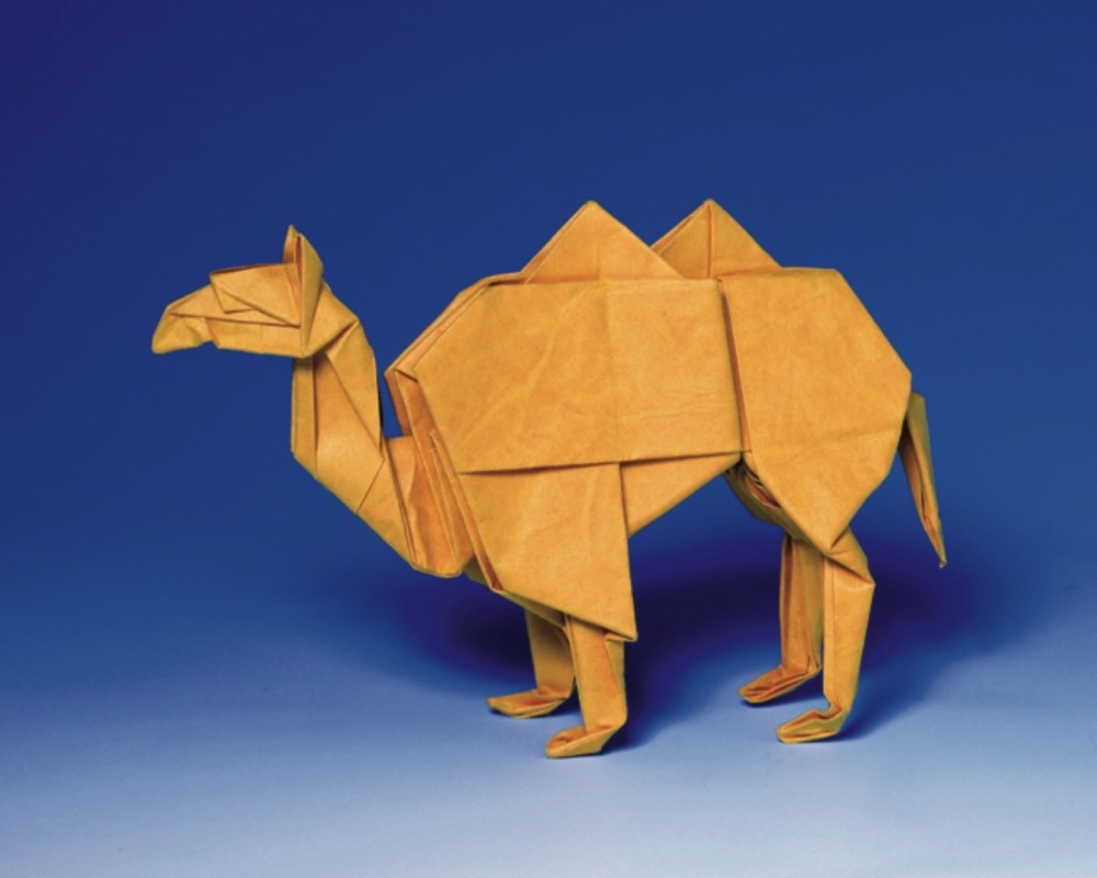 Origami Gone Wild John Montroll